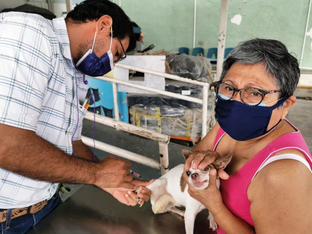 PERMANENTES, LOS MÓDULOS DE VACUNACIÓN CONTRA LA RABIA – Sala de Prensa